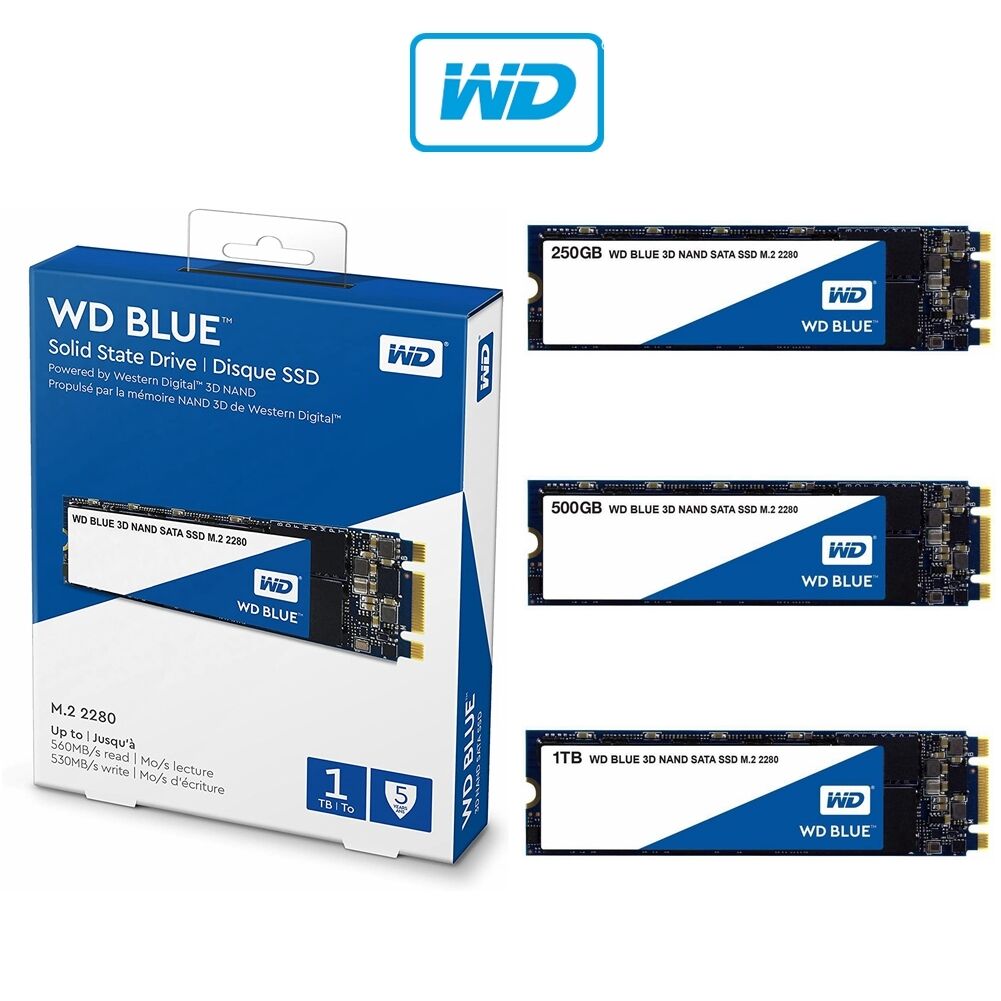 WD Blue SSD Western Digital Internal Solid State Drive Laptop 3D Nand M ...